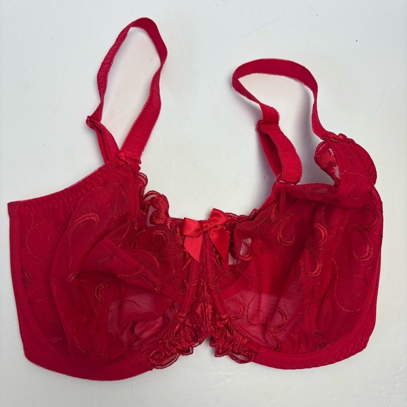Fit Fully Yours | Intimates & Sleepwear | Fit Fully Yours Red Underwire ...